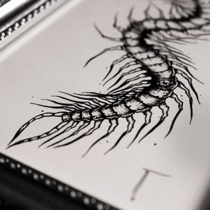 Art Print "scolopendra" Creepy Spooky Horror Insect Illustration Dark ...