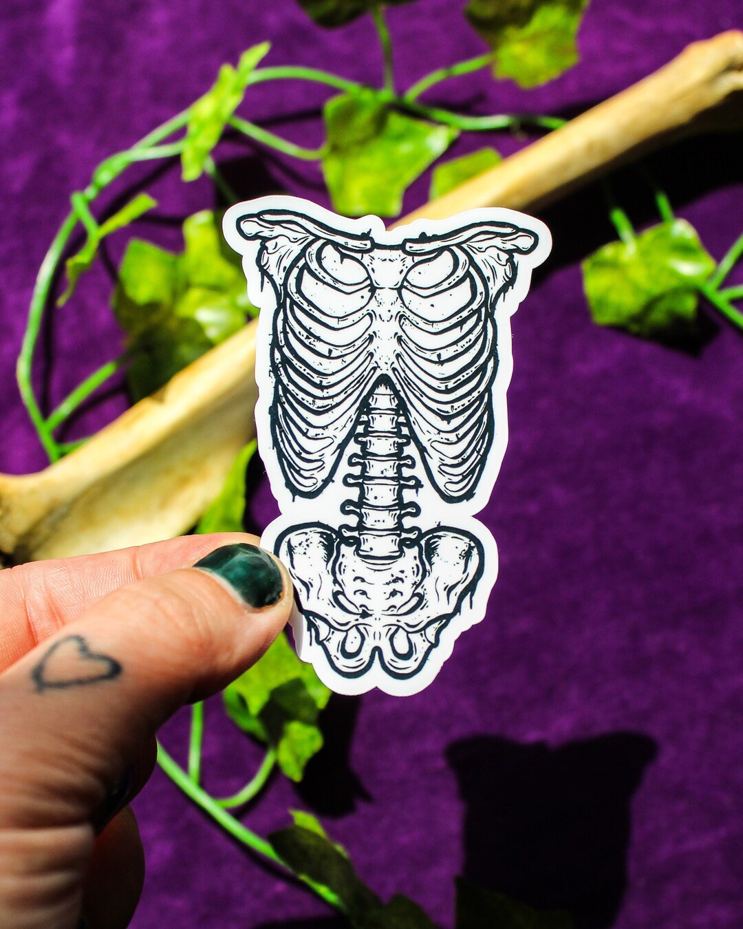 Vinyl Sticker rib Cage Skeleton Sticker Gothic Sticker Spooky Sticker ...
