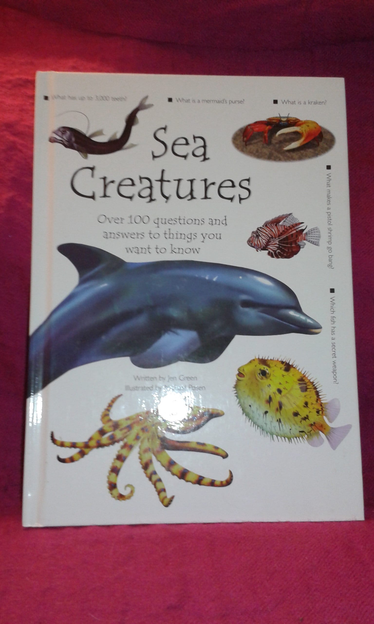 Sea Creatures, by Jen Green ,illustrated by Michael Posen - Etsy