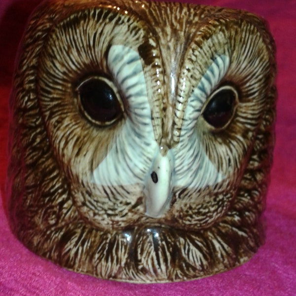 Owl Dish - Etsy