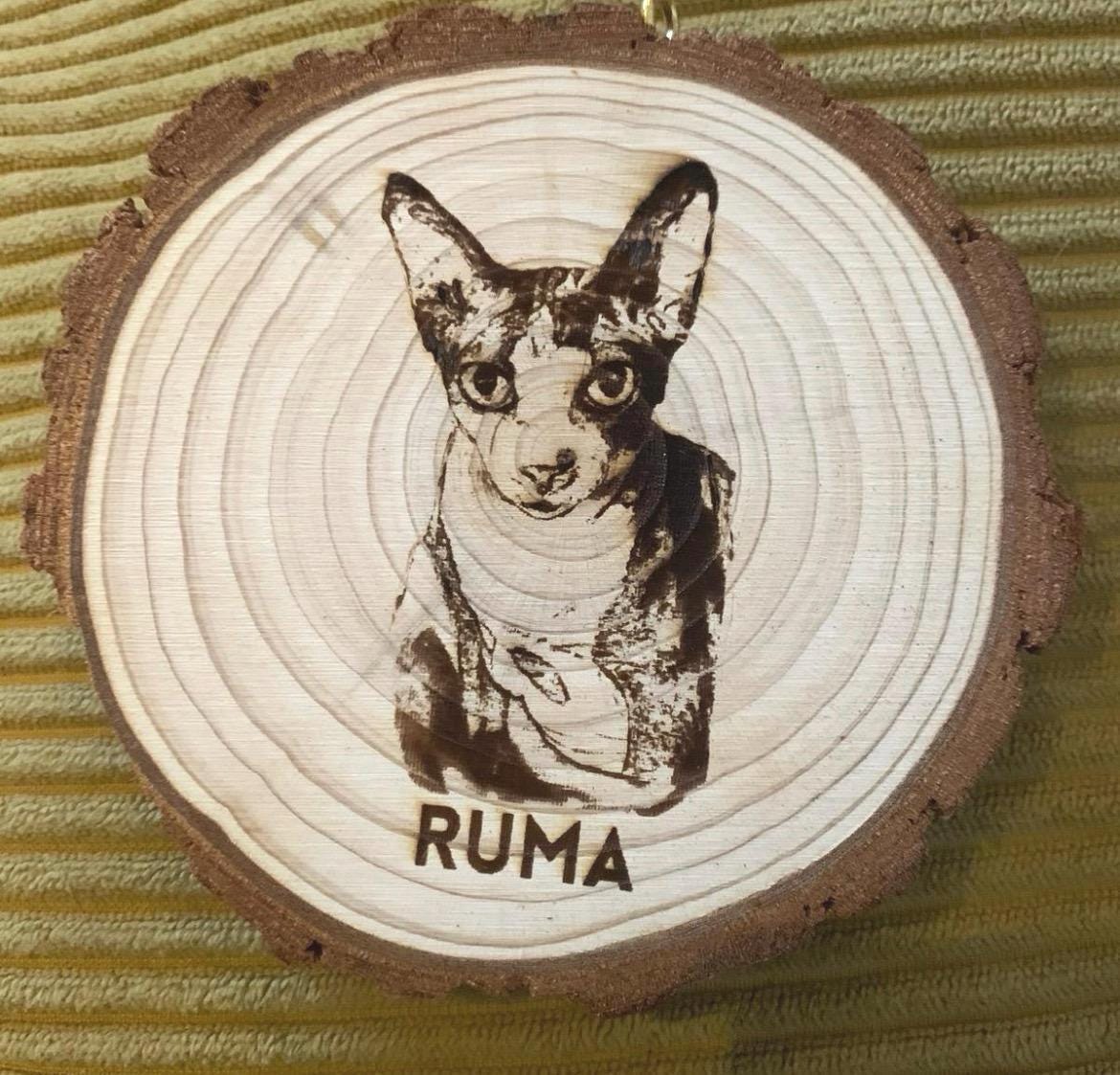 Wood Slice Pet Portrait Engraved Personalised - Etsy
