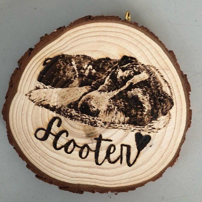 Wood Slice Pet Portrait Engraved Personalised - Etsy