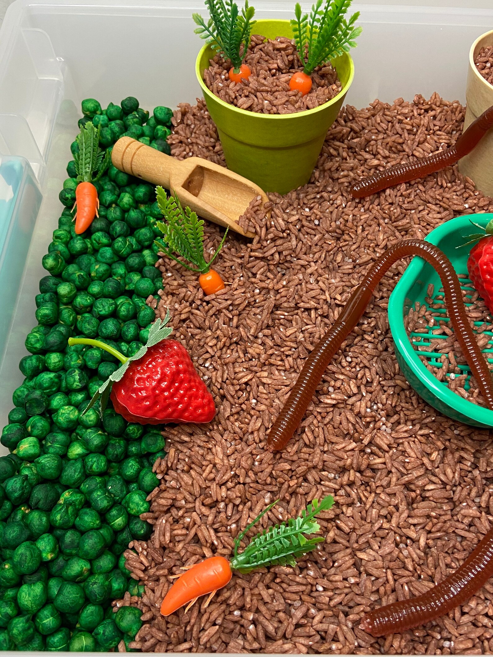 Garden Sensory Bin Sensory Kit Sensory Play Preschool | Etsy