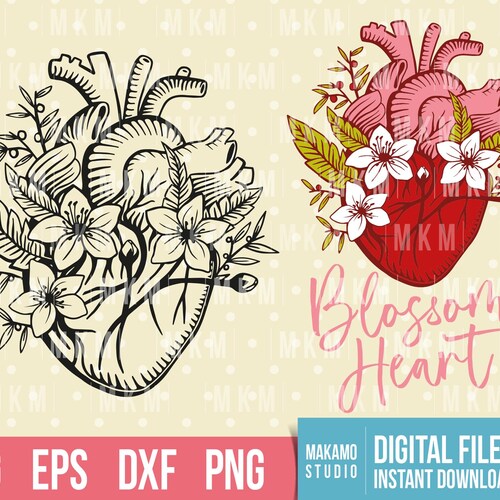 Anatomical Heart With Flowers SVG. Valentines Day Heart - Etsy