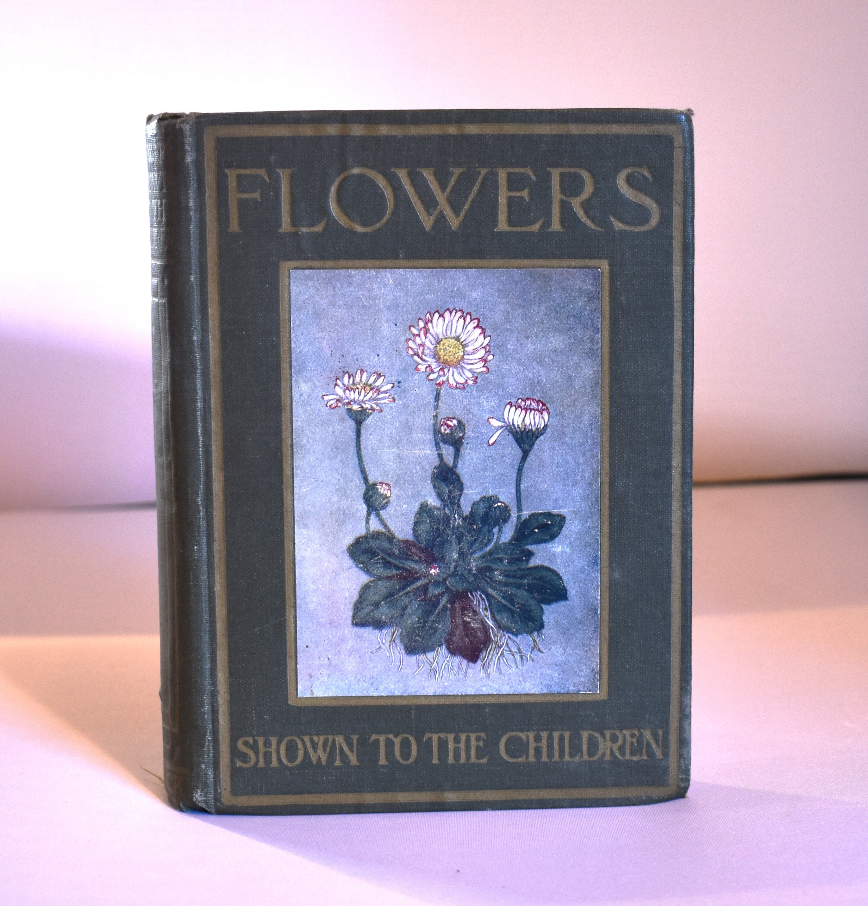 Flowers Shown to the Children. 1920's. 40 Illustrations. Antique Nature ...