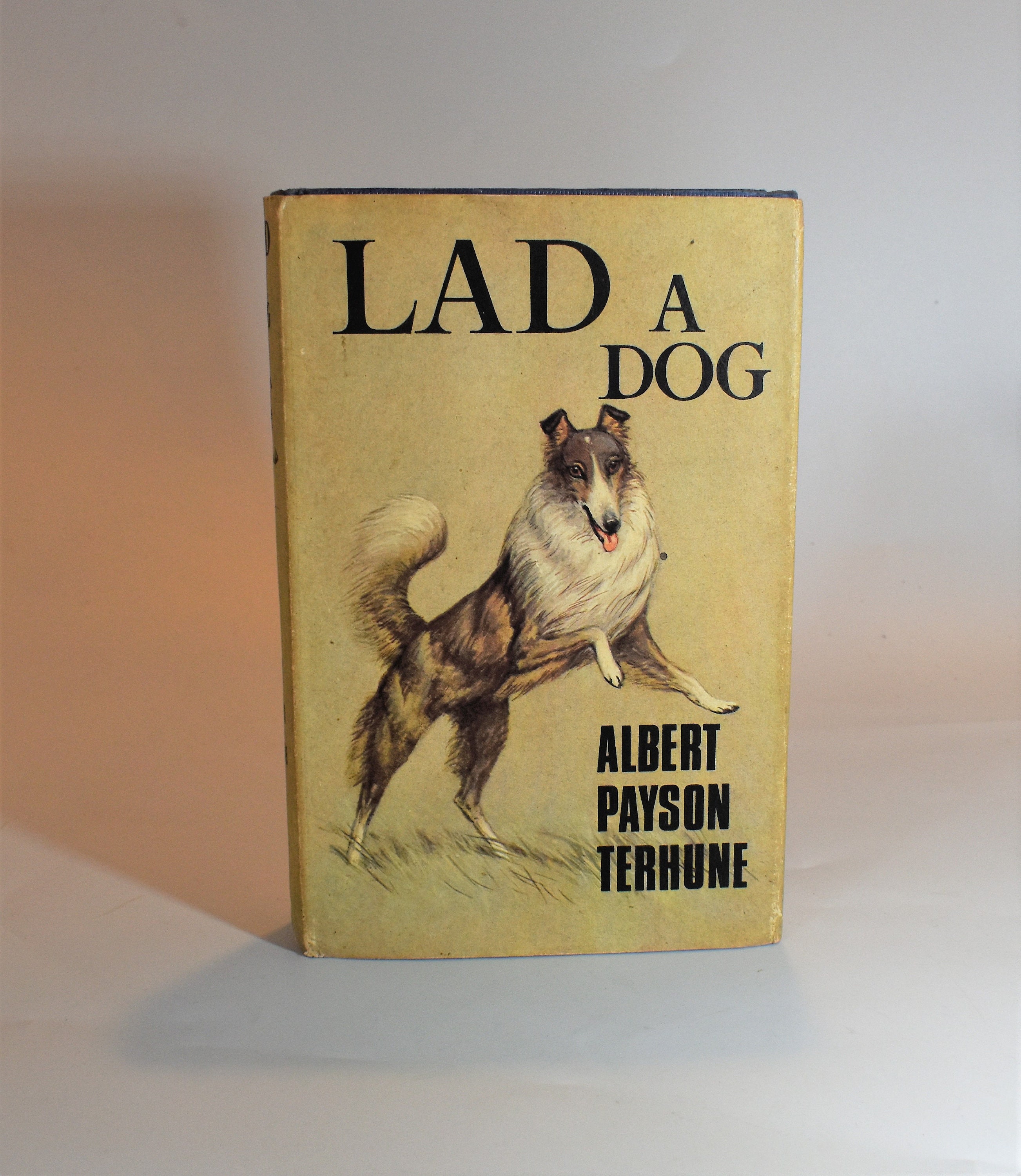 Set of Four Vintage Children's Animal Adventure Books. Illustrated ...