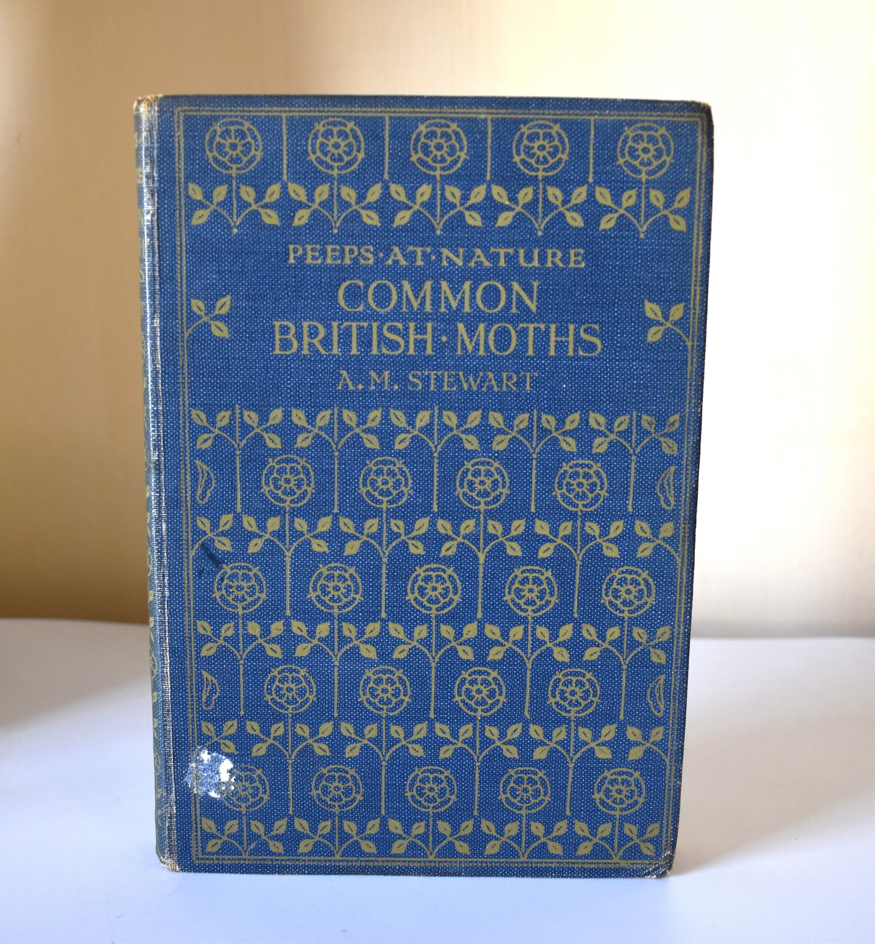 Common British Moths. Peeps at Nature. 1923 16 Plates 8 - Etsy