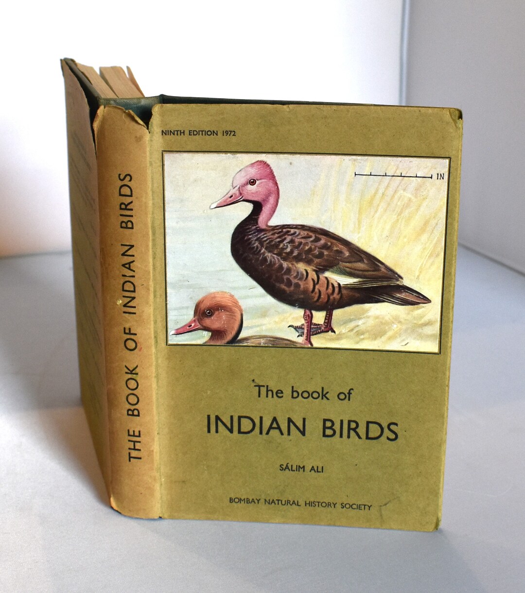 Vintage 'book of Indian Birds' (1972), Salim Ali, Color Illustrations ...