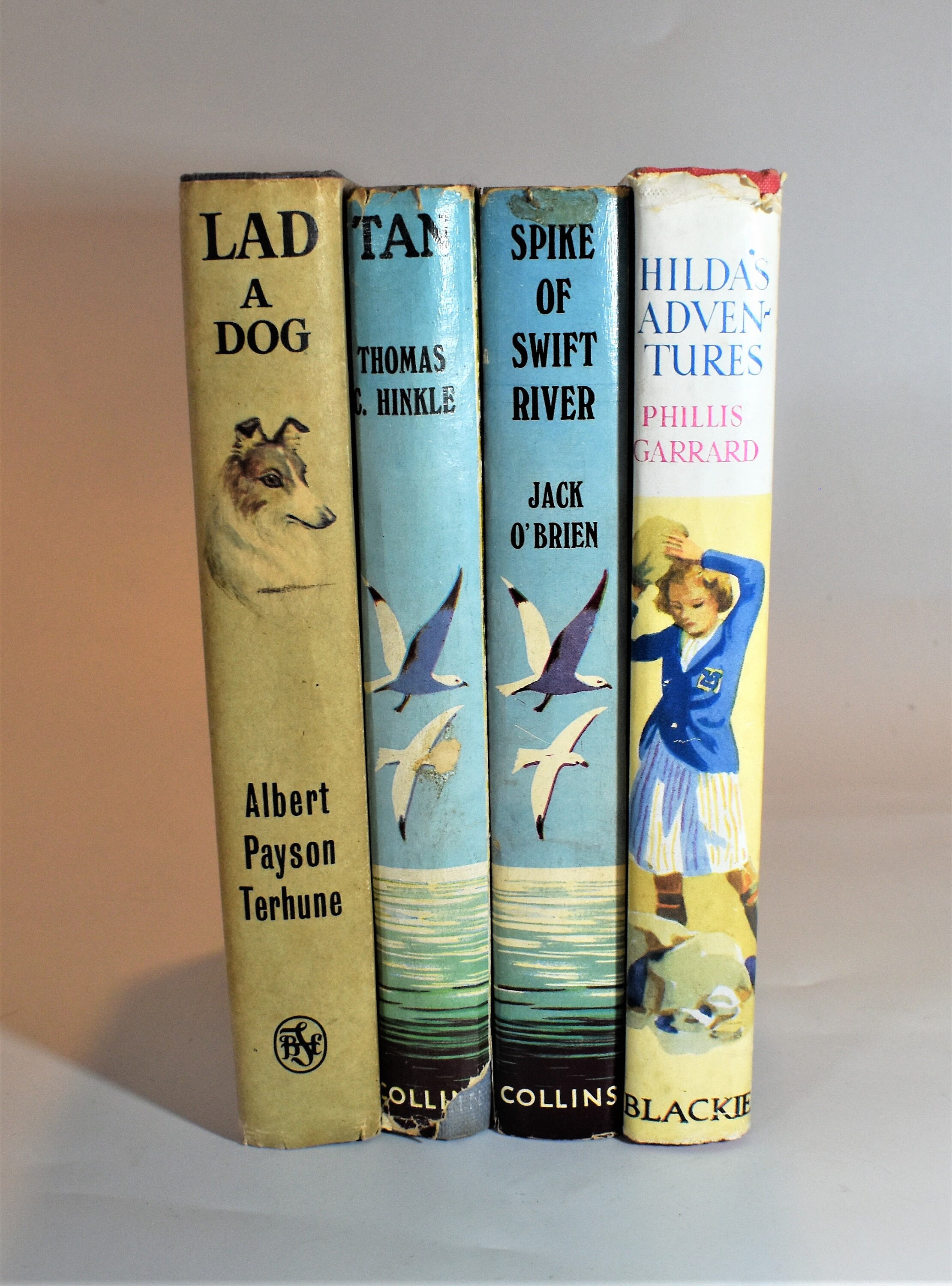 Set of Four Vintage Children's Animal Adventure Books. Illustrated ...