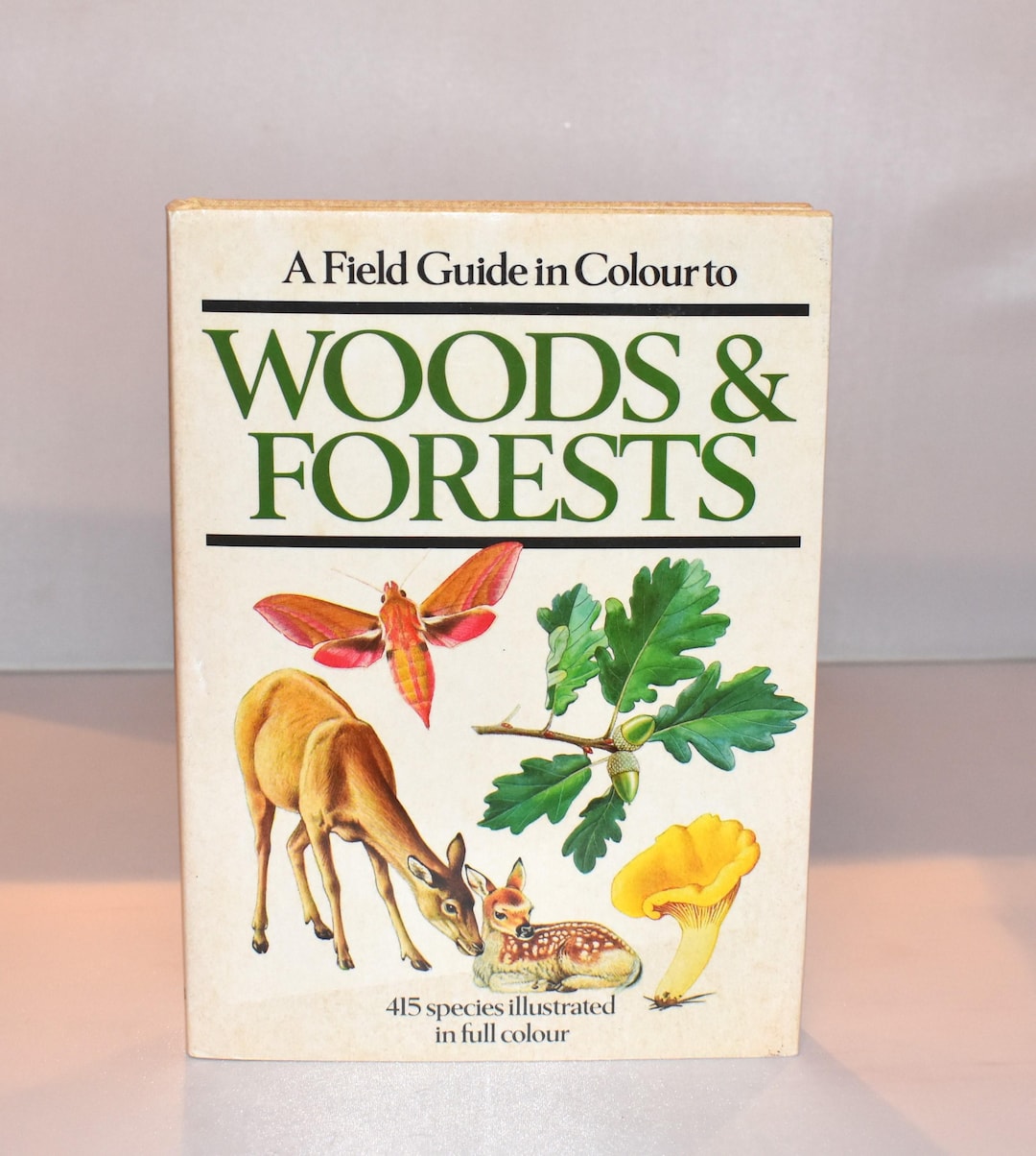 Vintage Illustrated Nature Book. A Field Guide to Woods & Forests ...