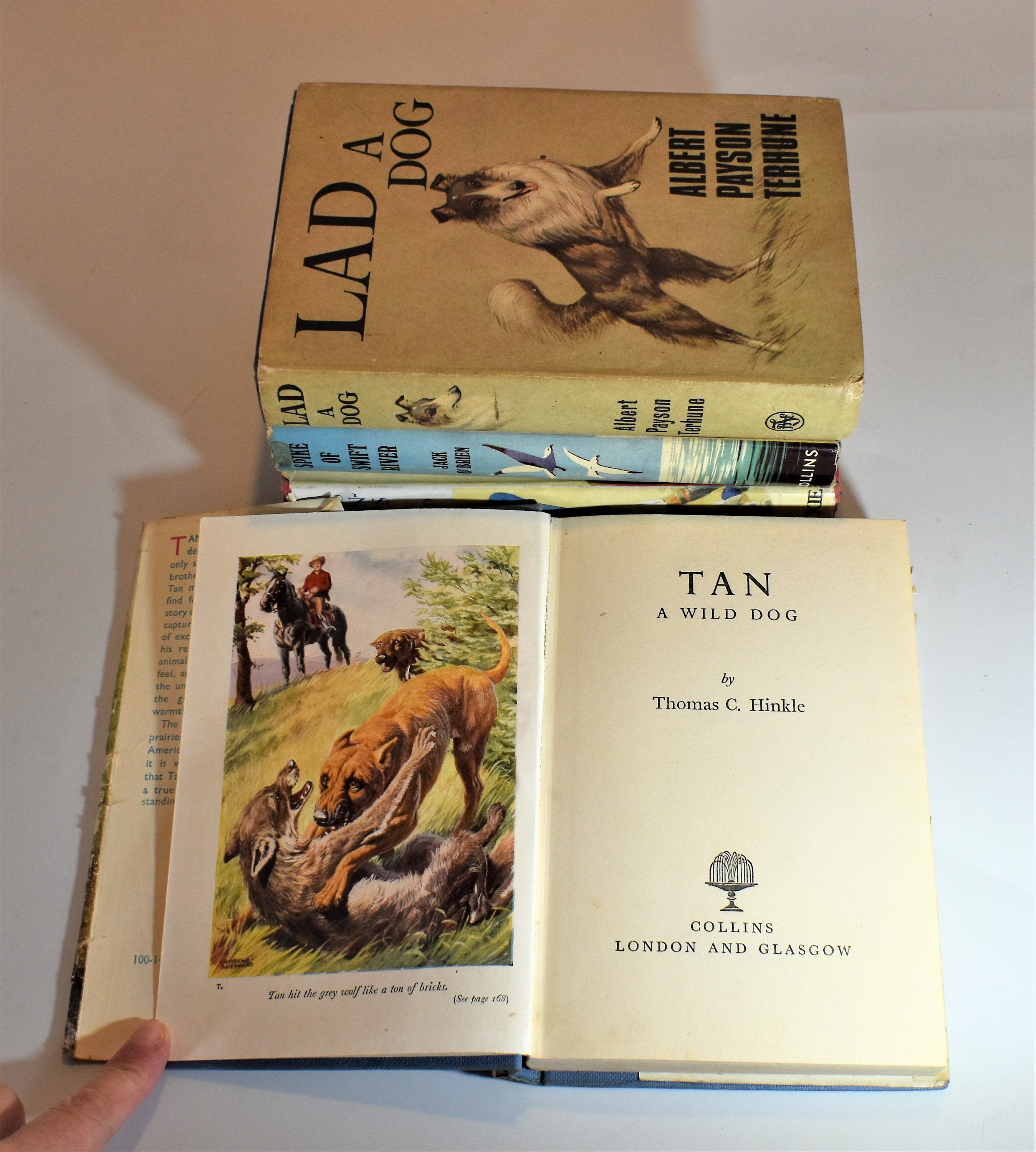 Set of Four Vintage Children's Animal Adventure Books. Illustrated ...