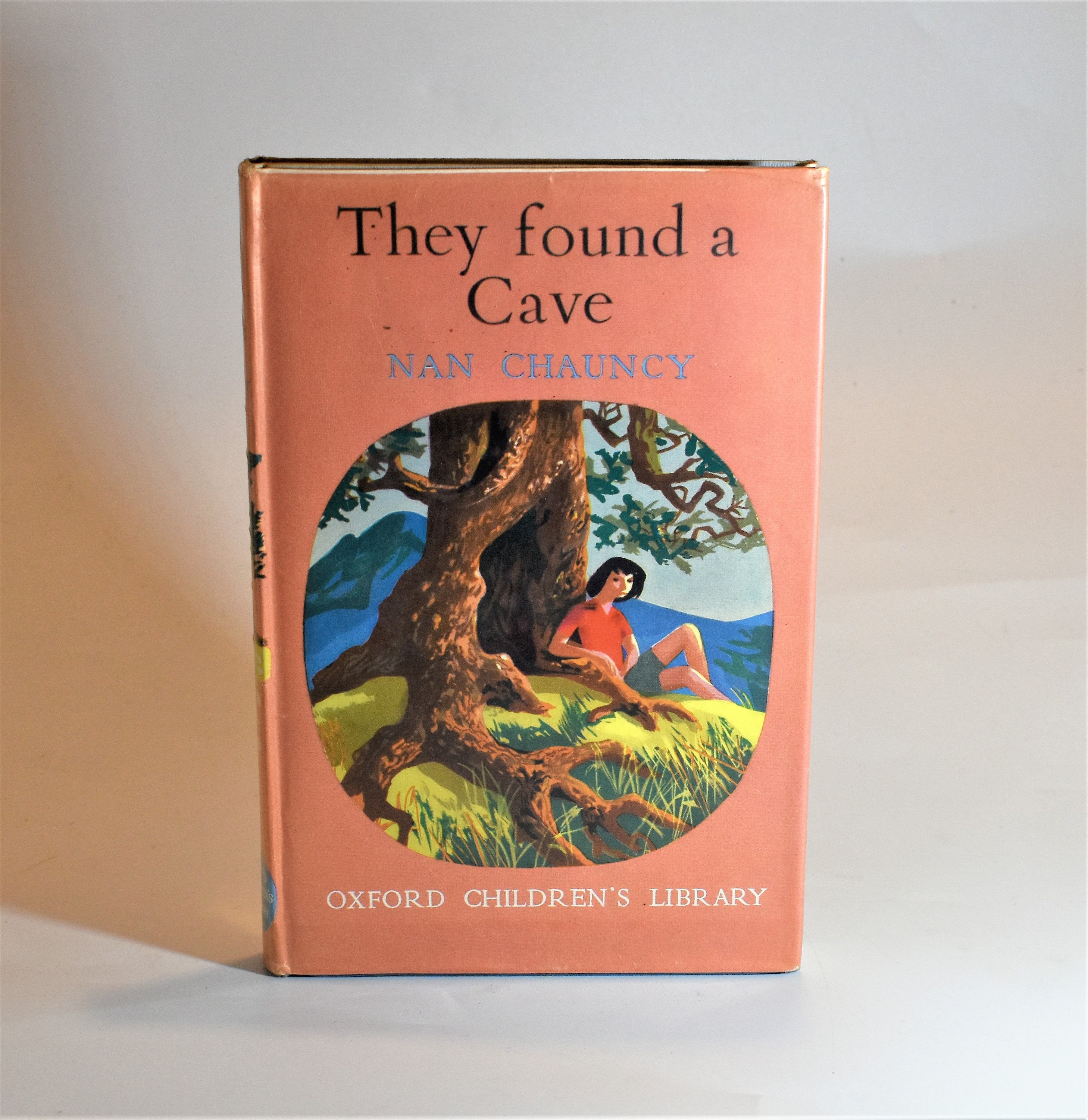 Vintage Girls' Adventure Books (set of 4) 1960s Illustrated Dustjackets ...