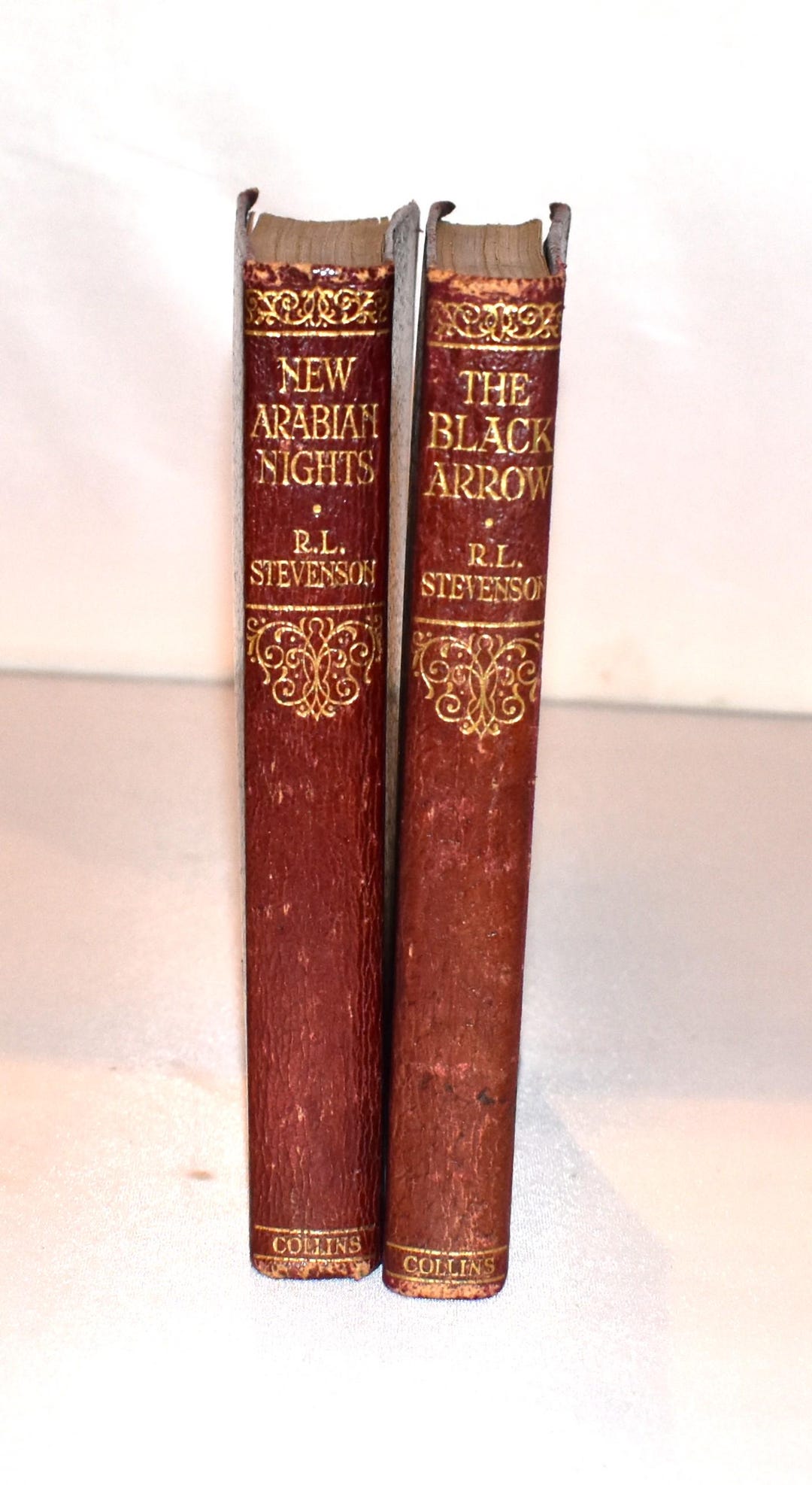 Two Book Stack. Stevenson (1920s) Illustrated Small Leather Antiquarian ...