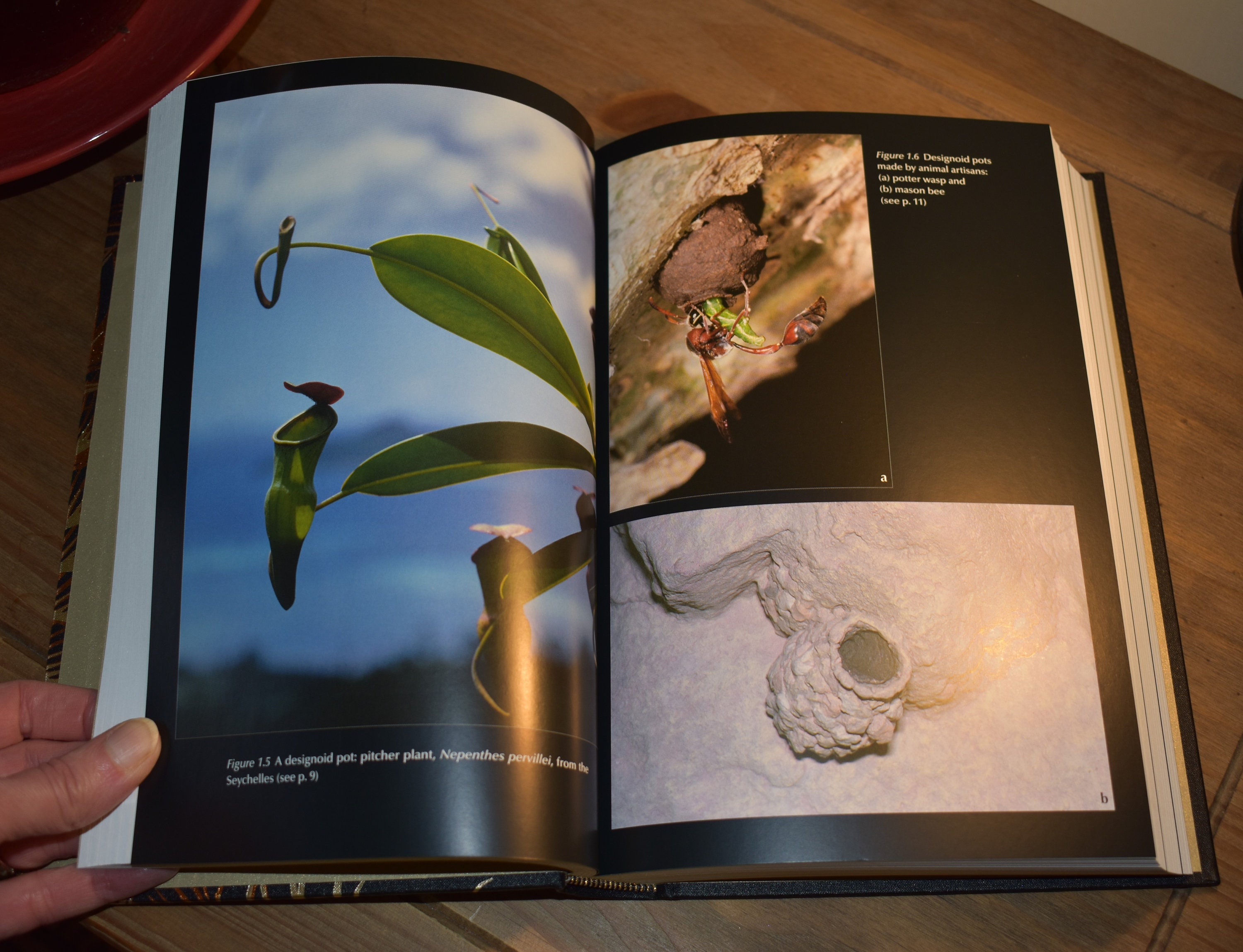 Richard Dawkins. Climbing Mount Improbable. Folio Society Book. 2008 ...