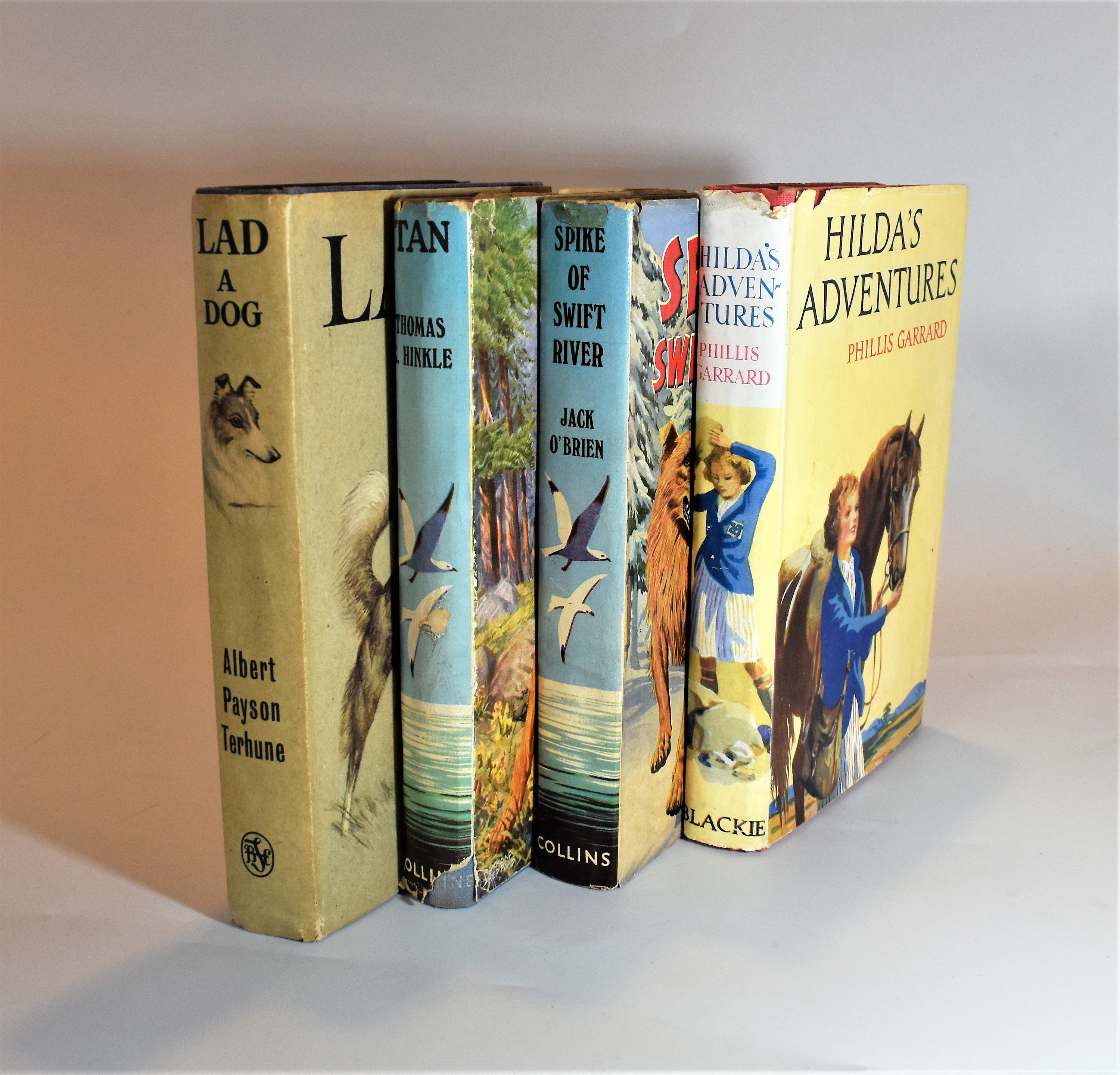 Set of Four Vintage Children's Animal Adventure Books. Illustrated ...