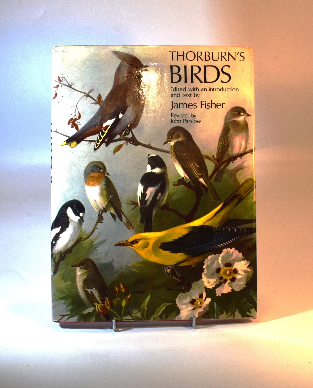 Thorburn's Birds. James Fisher ed 1976 Vintage Natural History Book ...