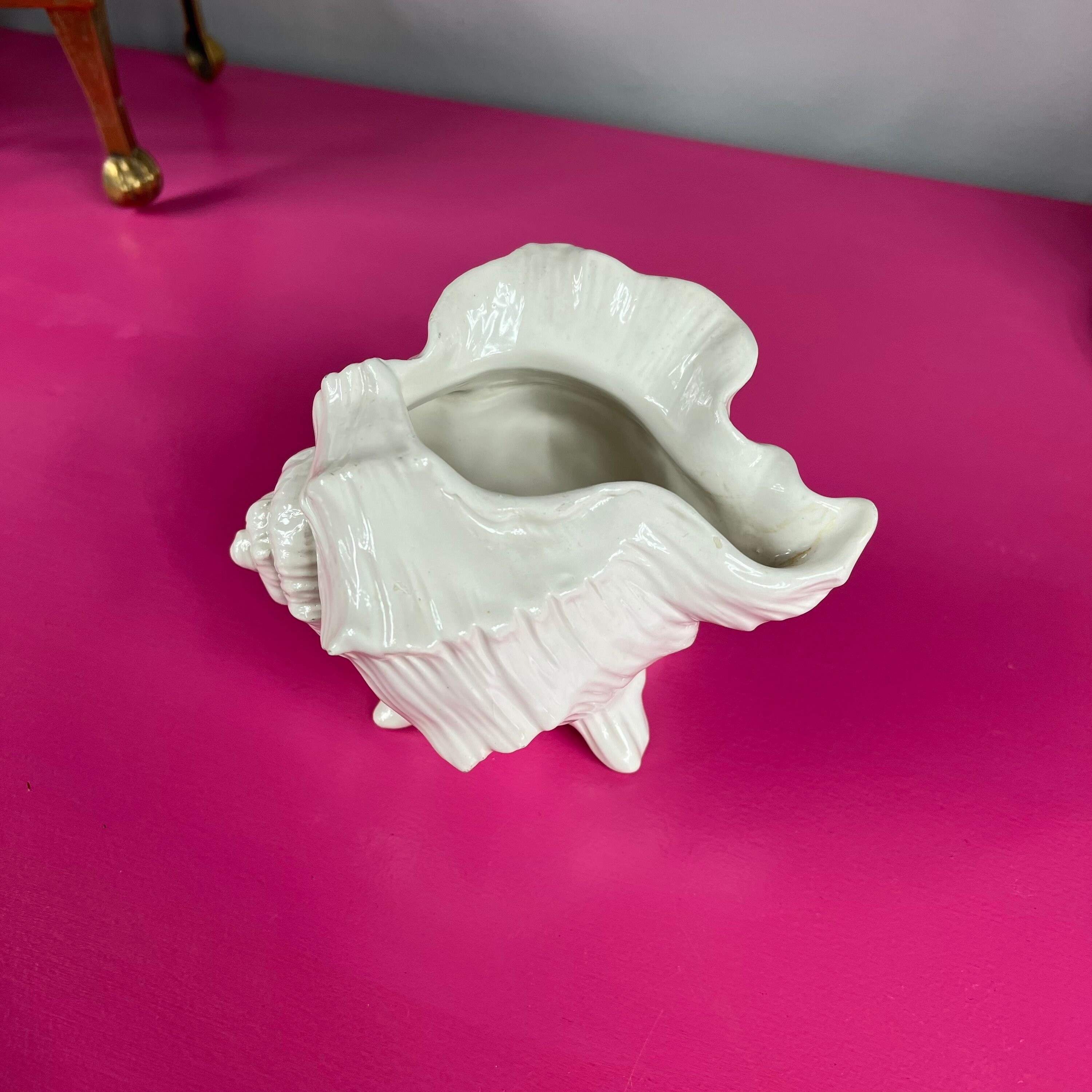 Vintage Conk Shell Seashell Planter small Made in Italy - Etsy