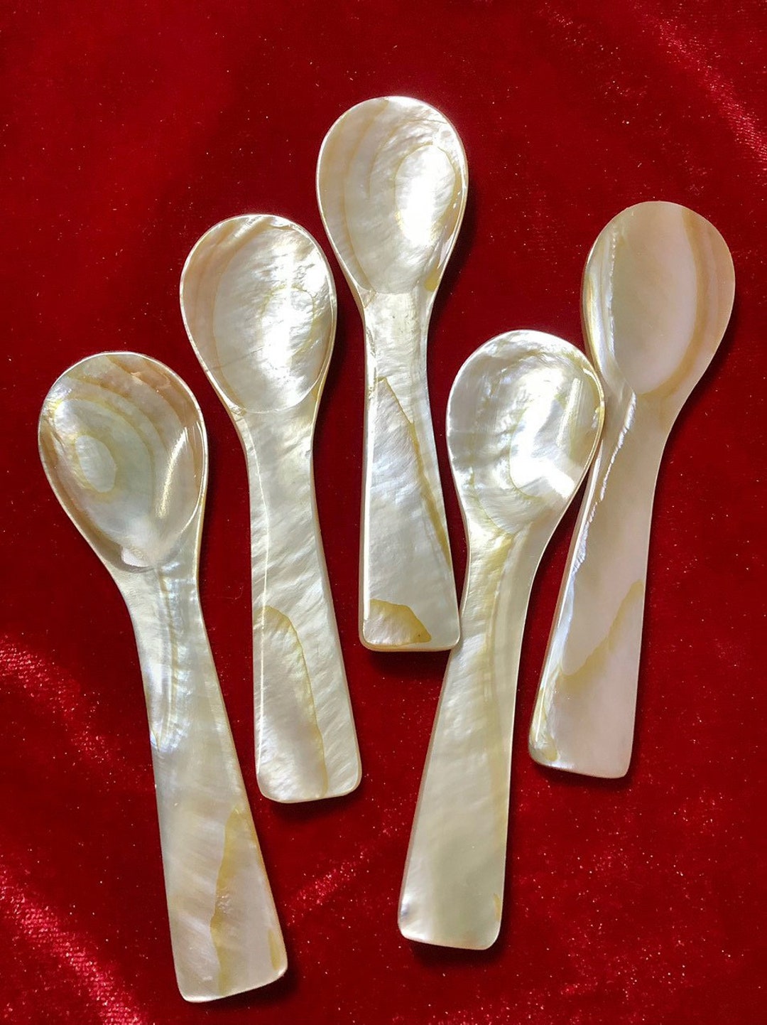 5 Conch Shell Caviar Spoons, Mother of Pearl Spoon, Mother of Pearl ...