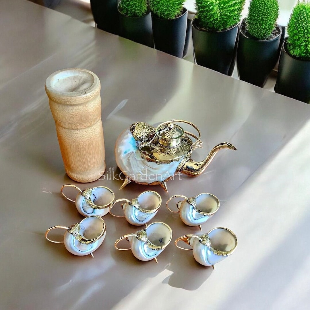 Conch Shell Teapot & Cup Set: Bronze Edged Seashell Decor - Etsy