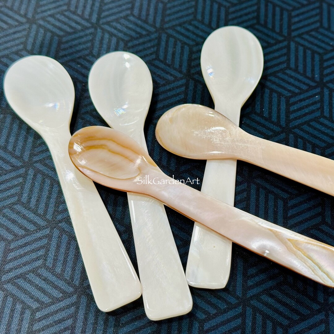 5 Conch Shell Spoons, Dessert Serving, Tea Spoon, Mother of Pearl Spoon ...