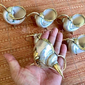 Conch Shell Teapot & Cup Set: Bronze Edged Seashell Decor, Ancient ...