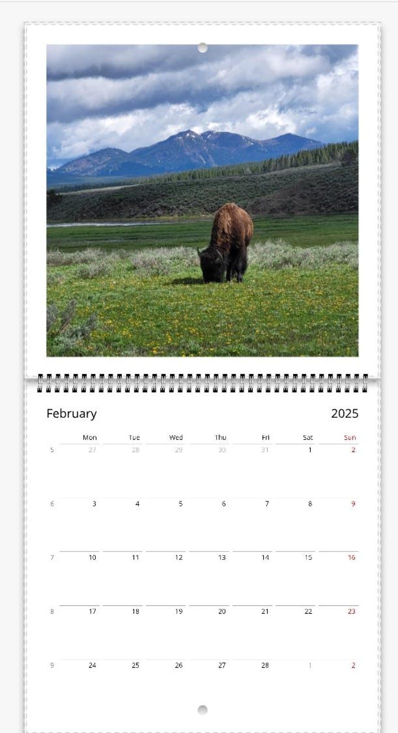 2025 12 Month Wall Calendar, Yellowstone National Park, Grand Teton ...