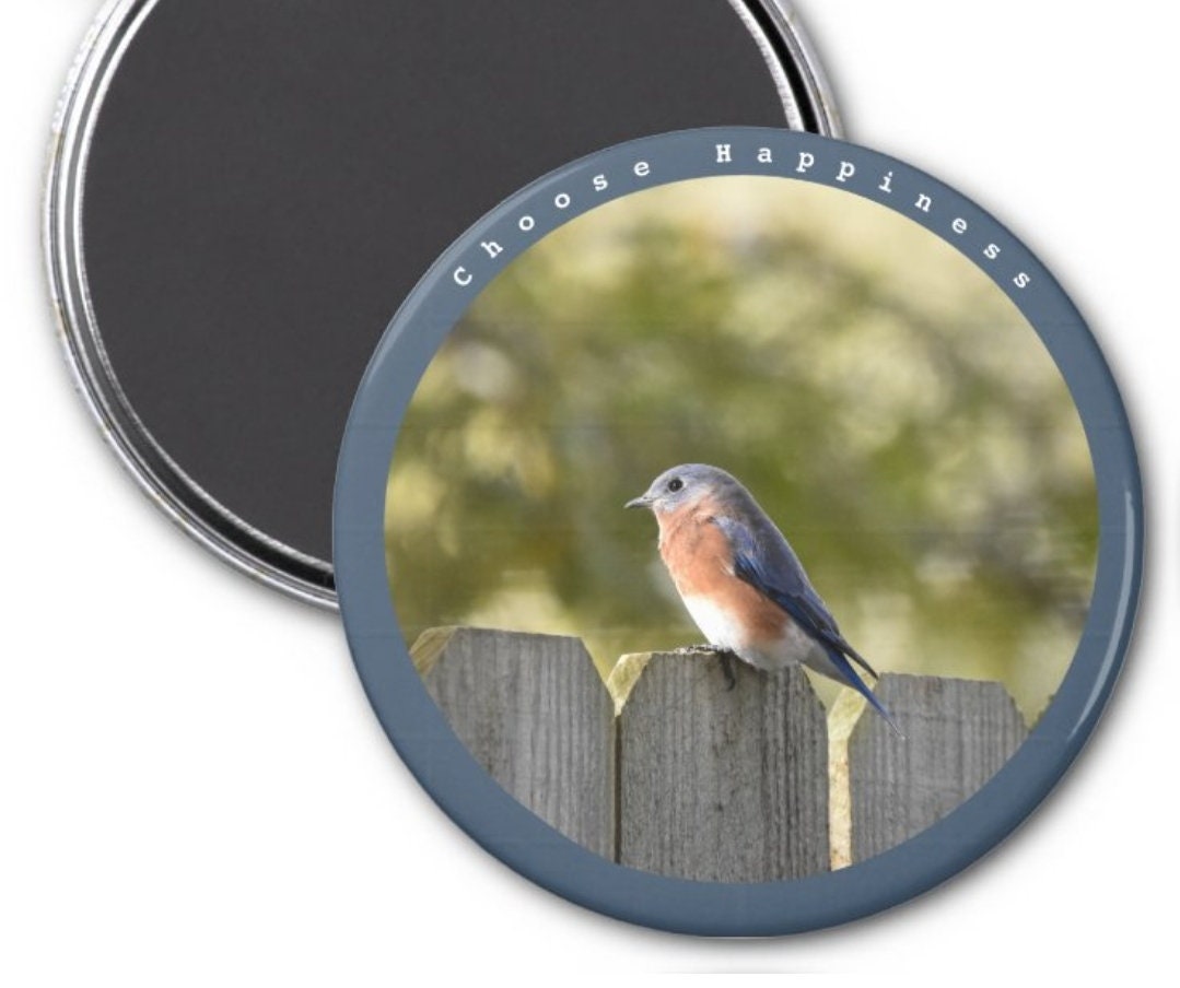 Bluebird Magnet, Bird Photo, Refrigerator Magnet, Keepsakes, Nature ...