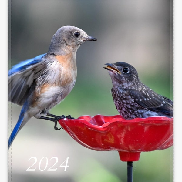 Bluebird Decor - Etsy