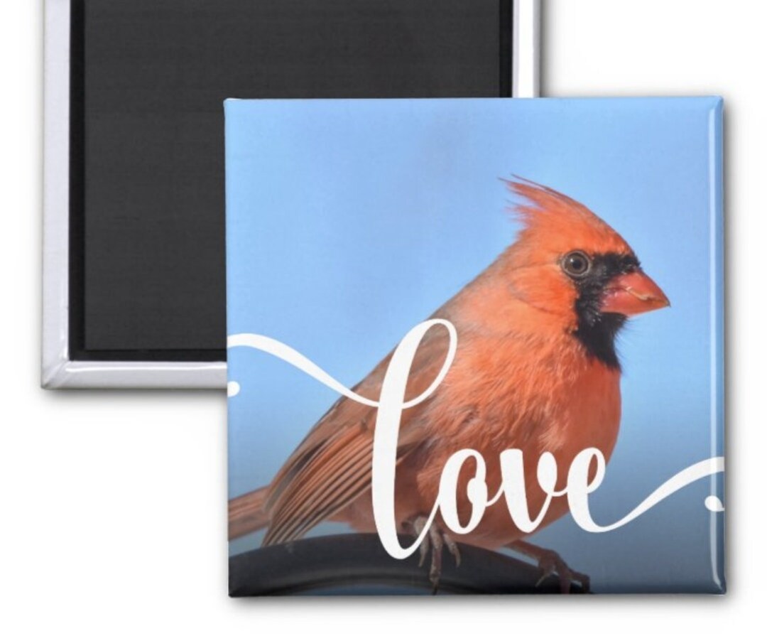 Cardinal Magnet, Bird Photo, Refrigerator Magnet, Keepsakes, Nature ...