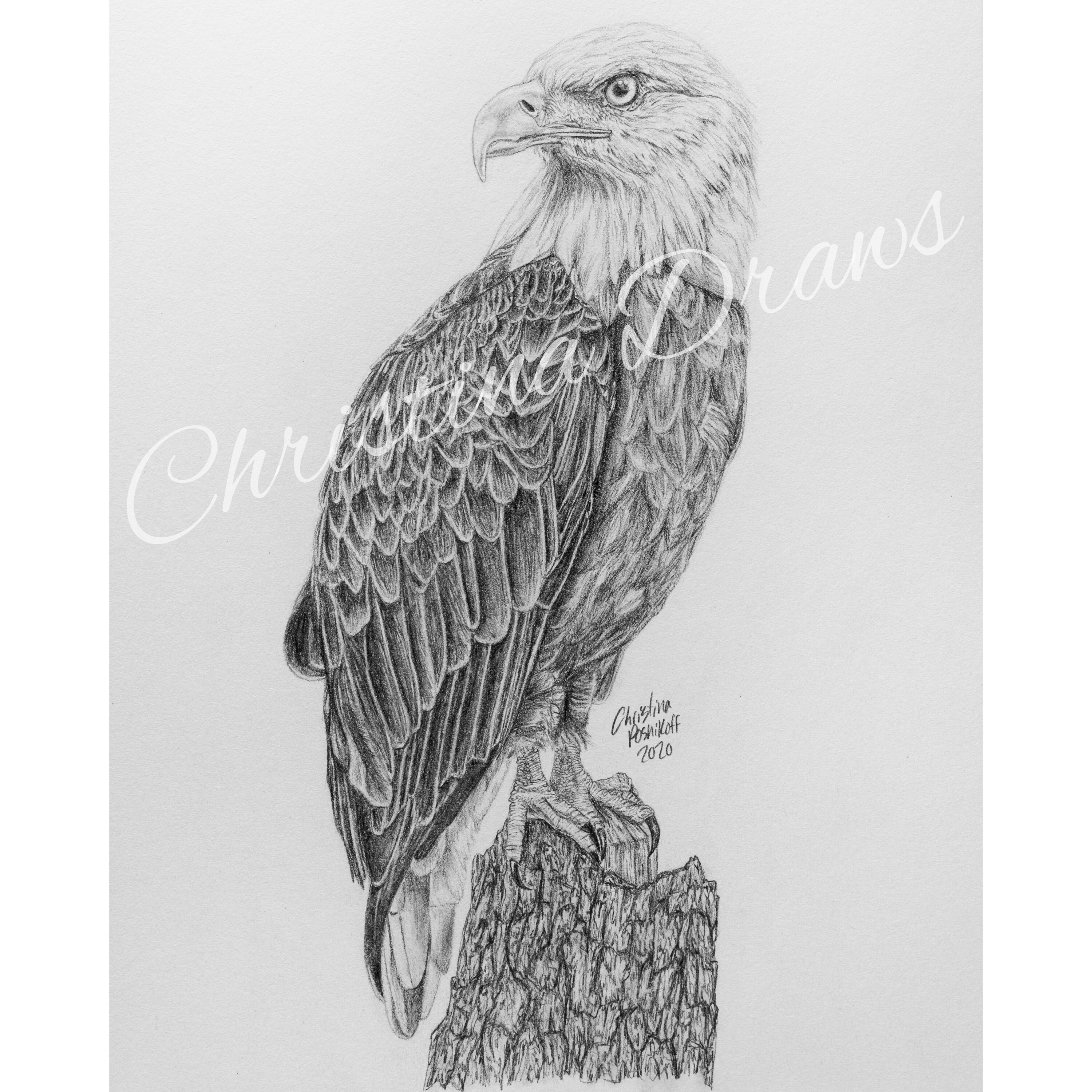 8x10 Eagle Pencil Sketch Art Print Home Decor - Etsy