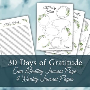 Gratitude Journal, 30 Days of Gratitude, Thanksgiving Journal, Month of ...