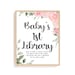 Babys First Library Sign Baby Shower Guestbook Sign Books for Baby Pink ...