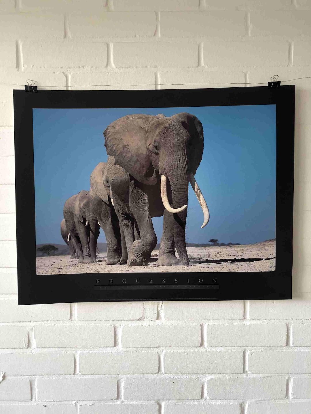 Original Poster, 1991, Martyn Colbeck, Procession, Elephant, African ...