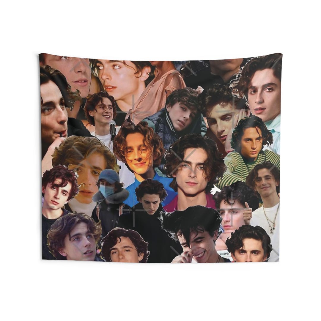 Timothee Chalamet Photo Collage 3 Indoor Wall Tapestry Tapestries ...