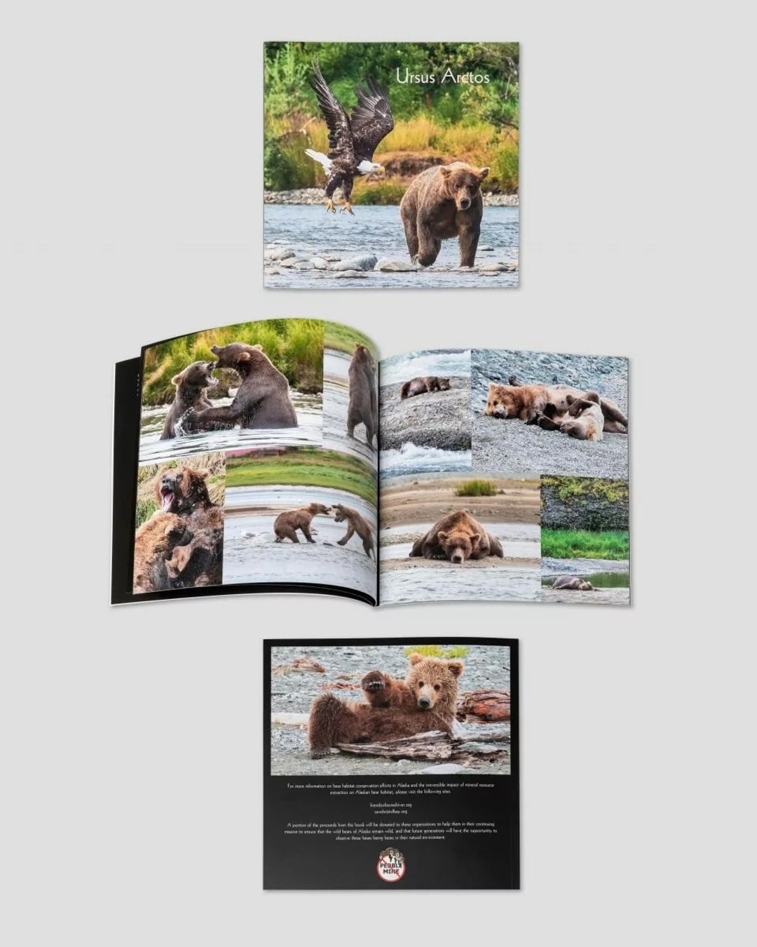 Ursus Arctos Softcover Book - Etsy