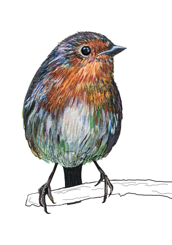 Wee Fat Robin Garden Birds Robin Red Breast Irish Birds - Etsy