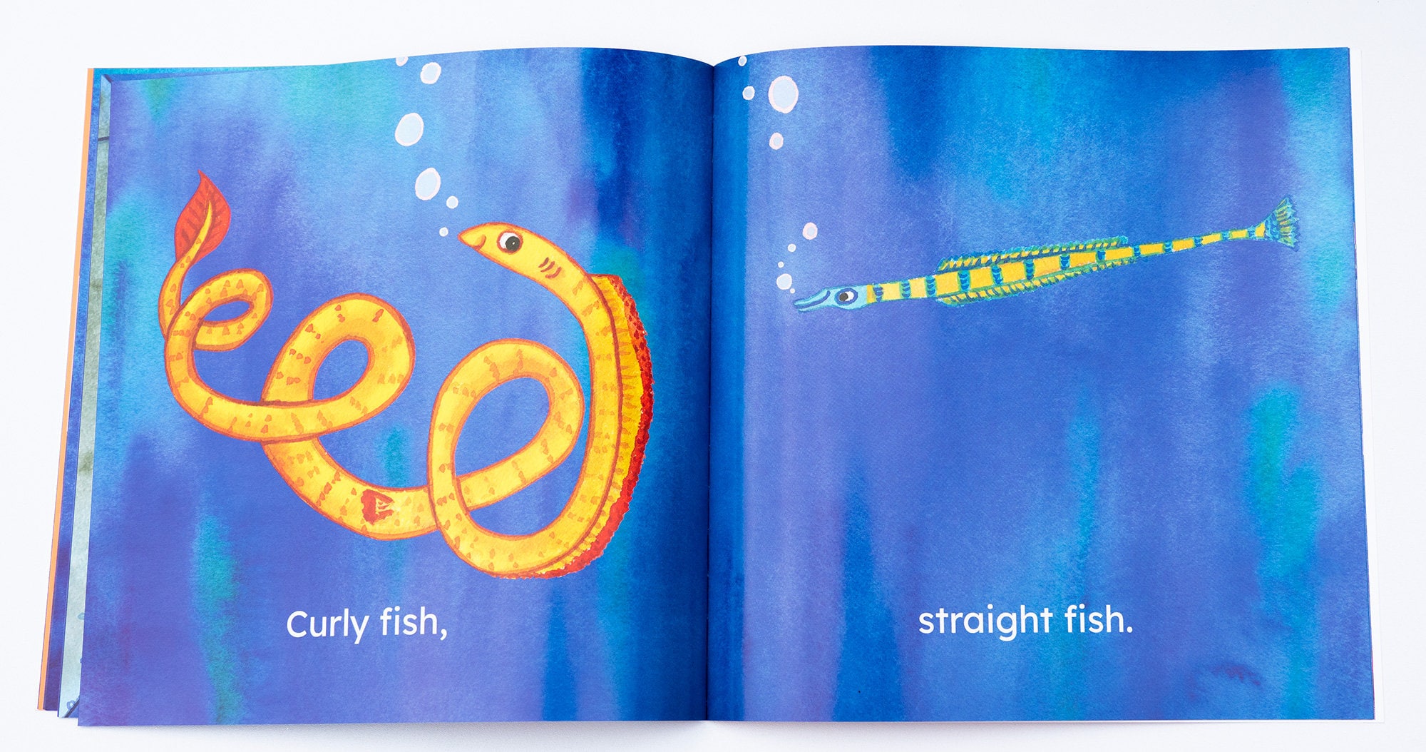 Big Fish Little Fish Picture Book by Matt Buckingham - Etsy