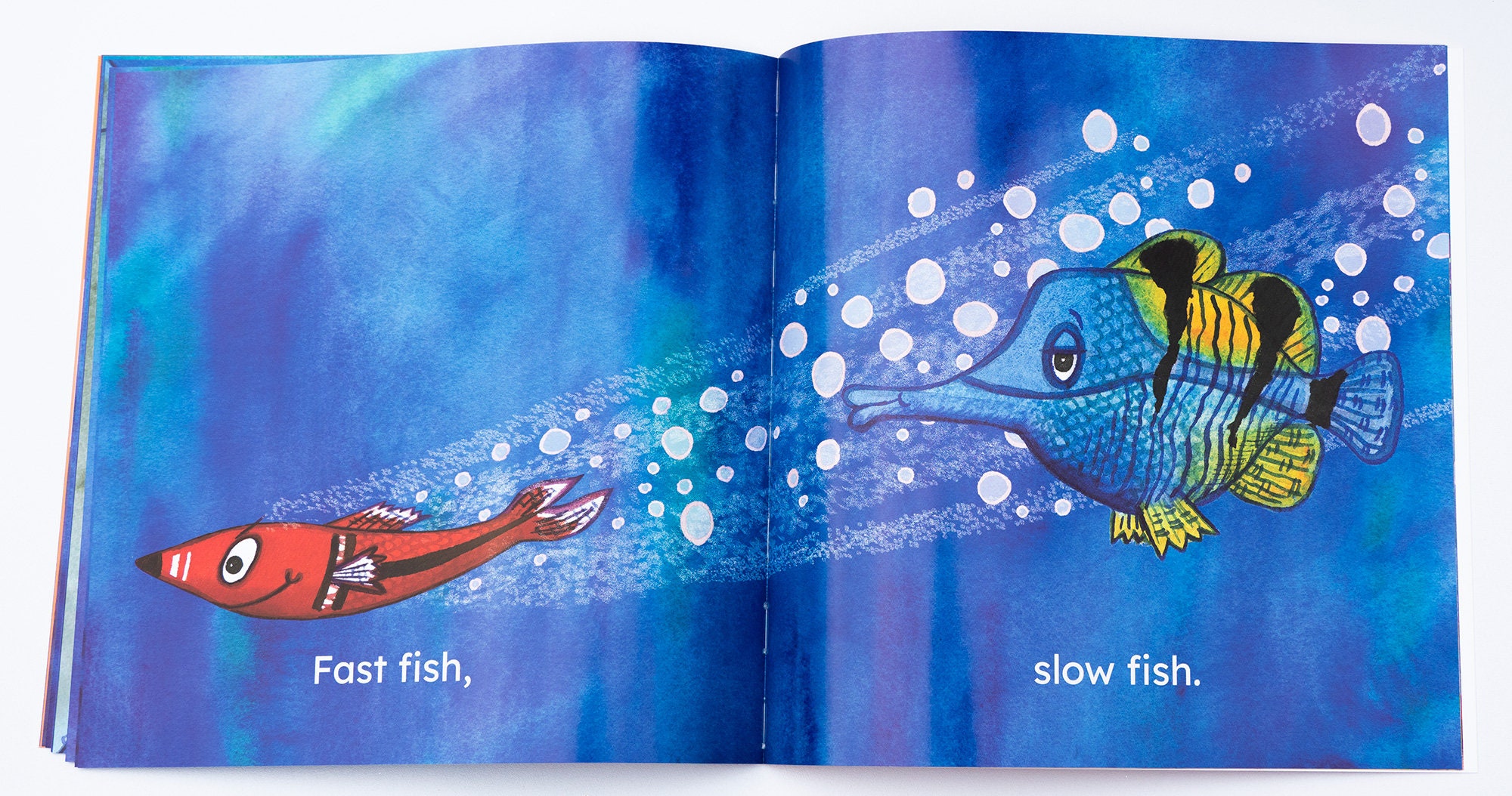 Big Fish Little Fish Picture Book by Matt Buckingham - Etsy