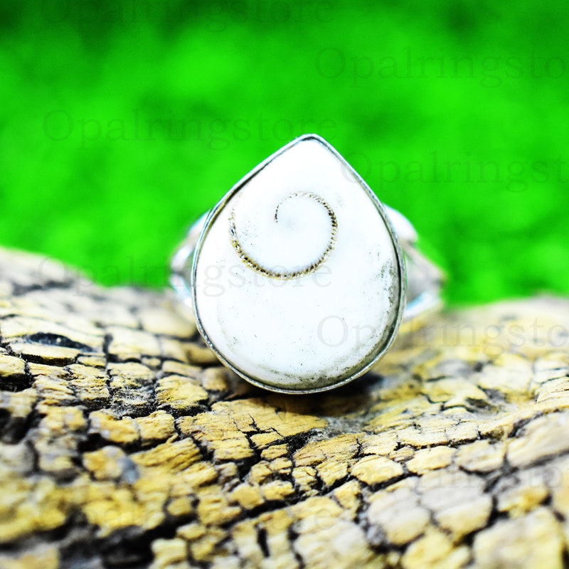 Shiva Shell Ring - Etsy
