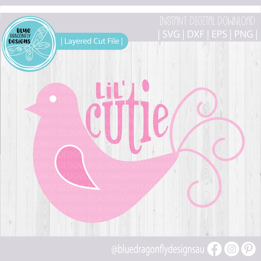Bird Svg Cute Bird Svg for Baby Svg for Toddler Svg - Etsy