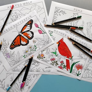 Printable Coloring Book - Animals of North America, 16 Pages ...