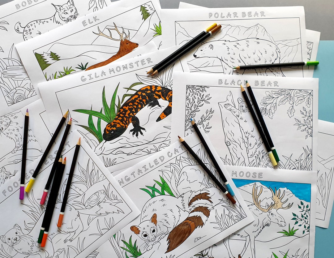 Printable Coloring Book Animals of North America, 16 Pages Educational ...