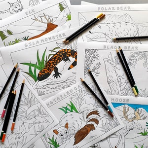 Printable Coloring Book - Animals of North America, 16 Pages ...