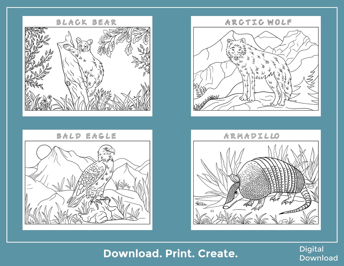 Printable Coloring Book - Animals of North America, 16 Pages ...