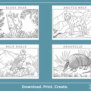 Printable Coloring Book - Animals of North America, 16 Pages ...