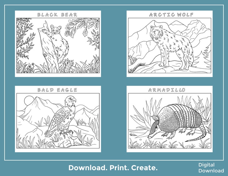 Printable Coloring Book Animals of North America 16 Pages | Etsy