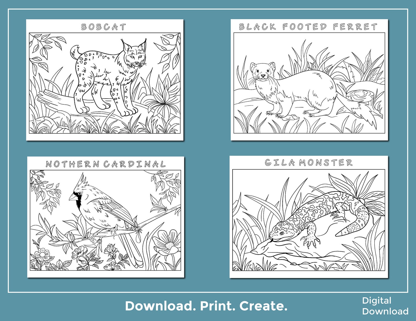 Printable Coloring Book - Animals of North America, 16 Pages ...
