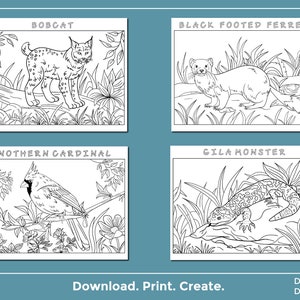 Printable Coloring Book - Animals of North America, 16 Pages ...