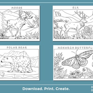 Printable Coloring Book - Animals of North America, 16 Pages ...