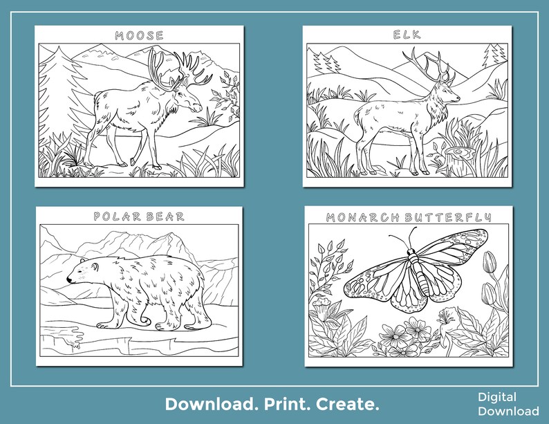Printable Coloring Book - Animals of North America, 16 Pages ...